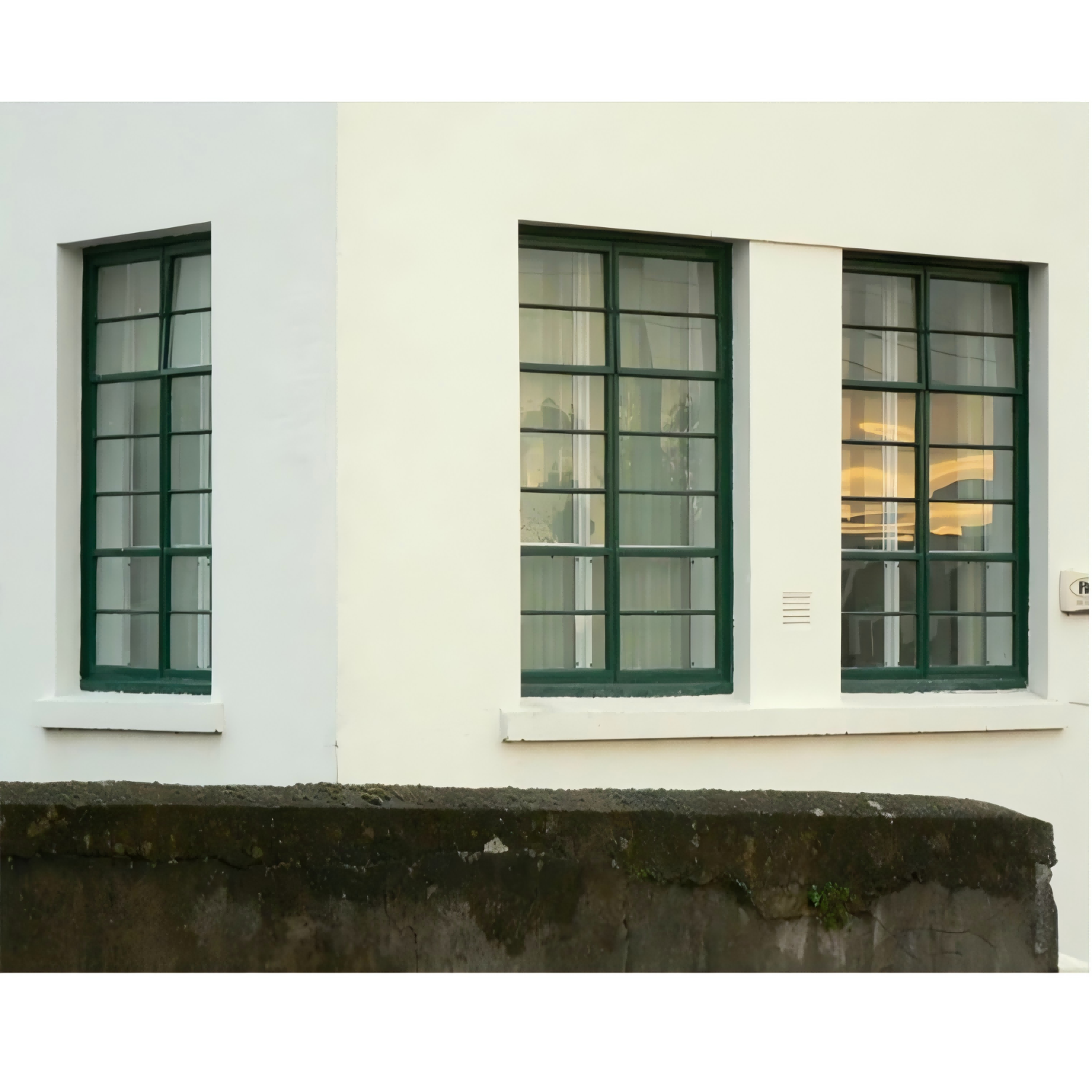 Steel French 14-Lite Window